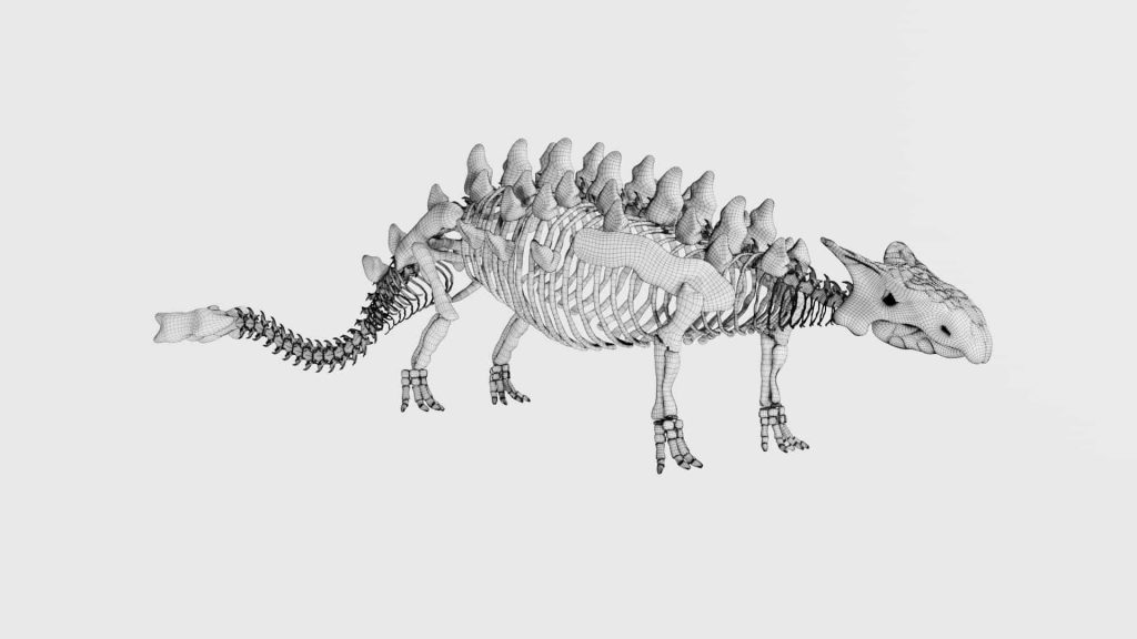 Ankylosaurus skeleton 3d model Low Poly