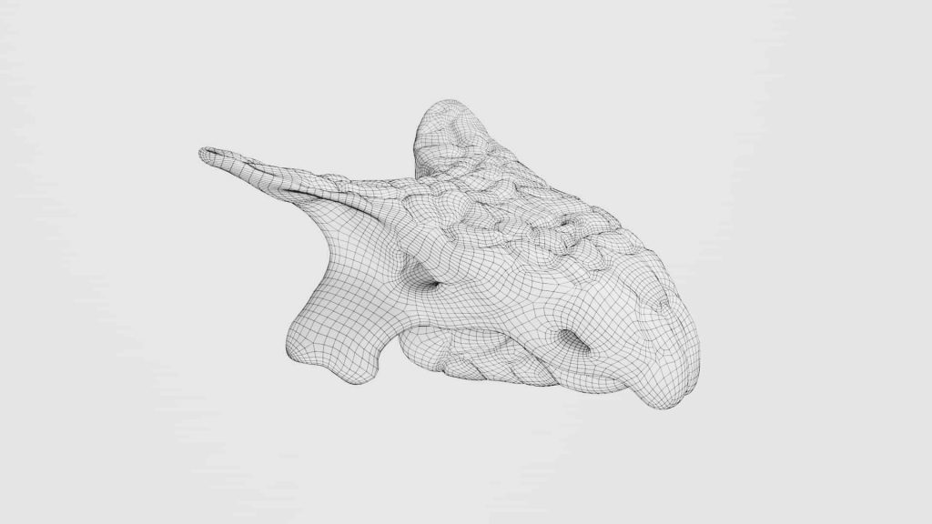 Ankylosaurus Skull 3d model Low Poly