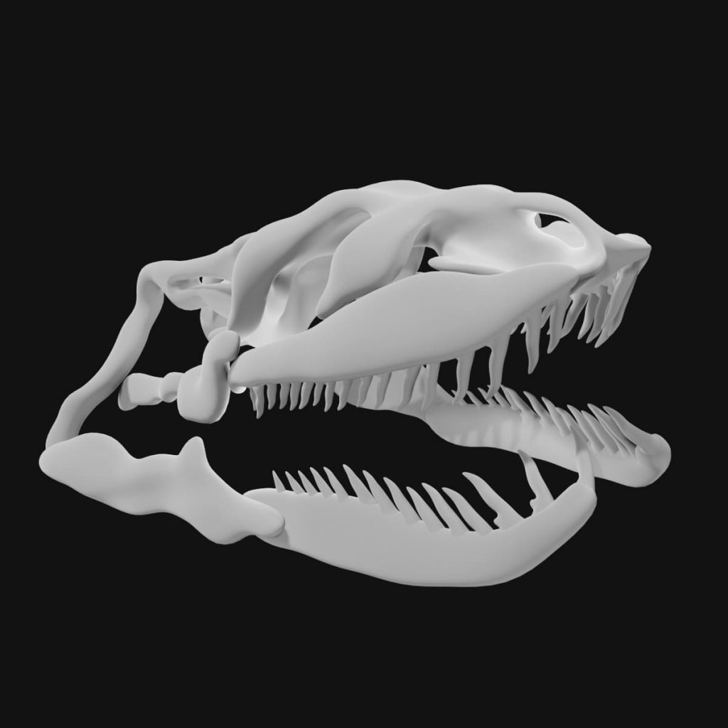 Anaconda skull 3d model Low Poly - Team 3d Yard