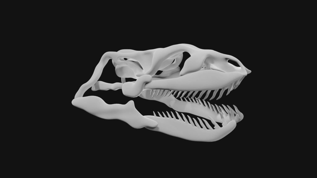 Anaconda skull 3d model Low Poly - Team 3d Yard