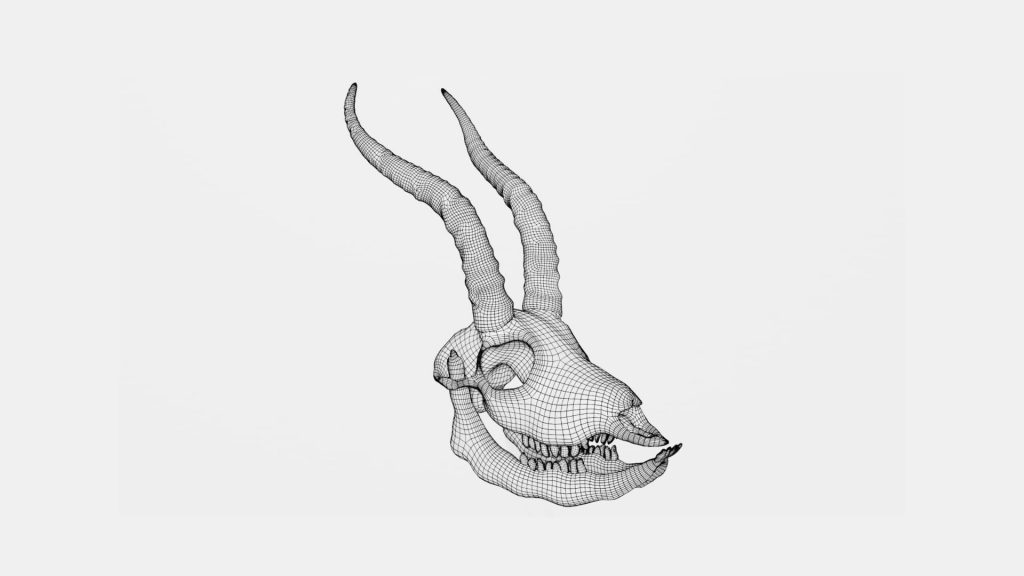 Gazelle skull 3d model Low Poly - Team 3d Yard