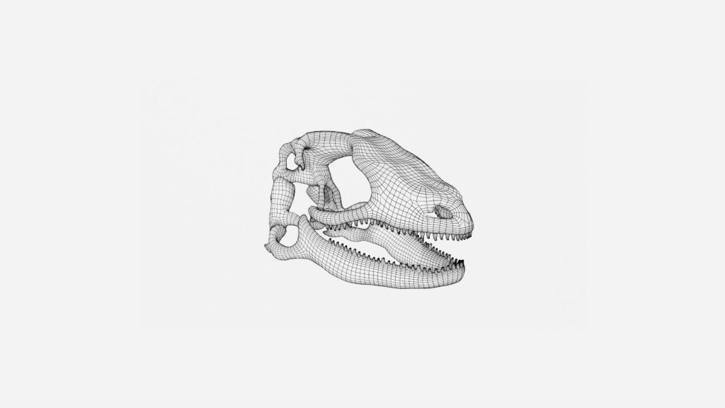 Lizard skull 3d model Low Poly - Team 3d Yard