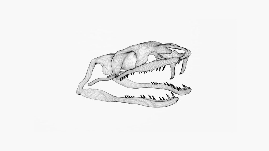 Snake skull 3d model Low Poly - Team 3d Yard